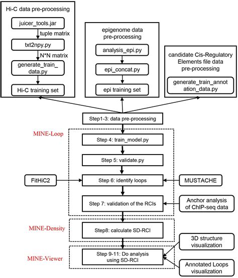 cell press star protocols