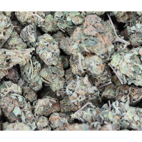 Buy Dolato 1 2lb Happy Clouds