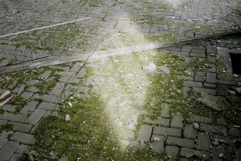 Daniel Staemmler Collection 1