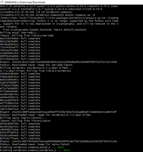Github Sinanshkwordpressdocker Host A Wordpress Application In Docker Using Nginxphp Fpmmysql