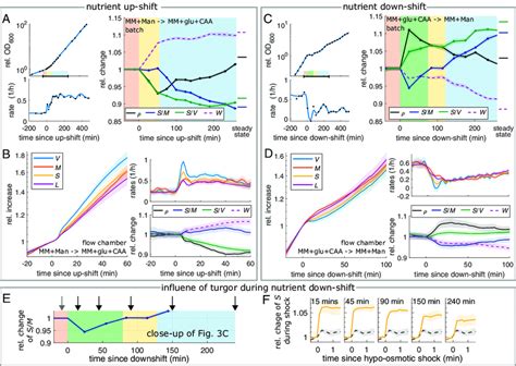 Nutrient Shifts Confirm Robust Surface To Mass Coupling On The