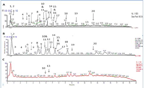 Figure 2 From LCMS MS Metabolite Profiling And Analysis Of Acute Toxicity Effect Of The