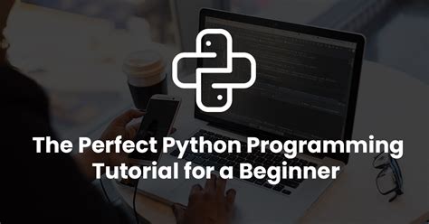 The Perfect Python Programming Tutorial For A Beginner