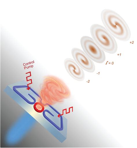 Tunable Topological Charge Vortex Microlaser Science