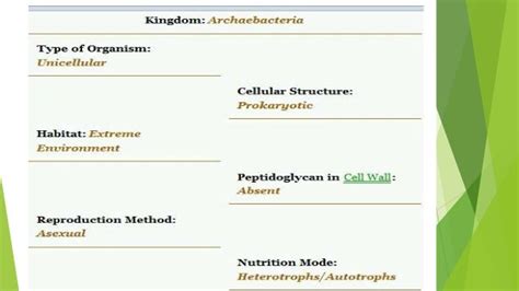 Kingdom Archaebacteria Phylums