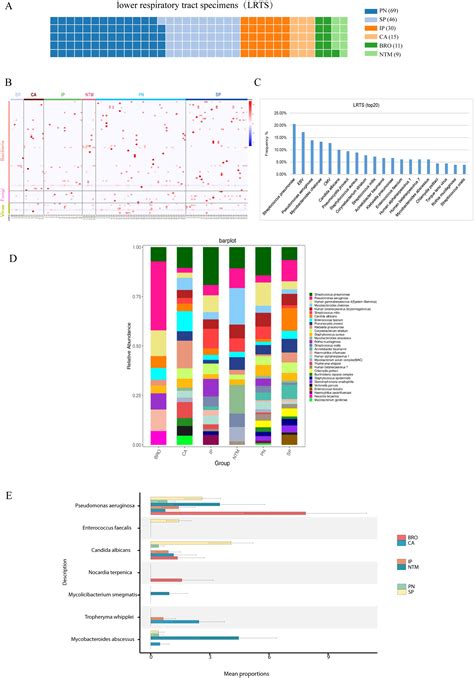 Frontiers Pathogen Spectrum And Microbiome In Lower Respiratory Tract Of Patients With