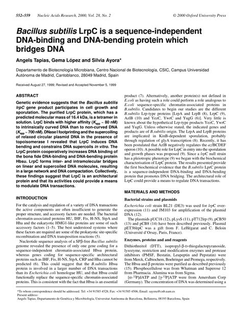 Pdf Bacillus Subtilis Lrpc Is A Sequence Independent Dna Binding And