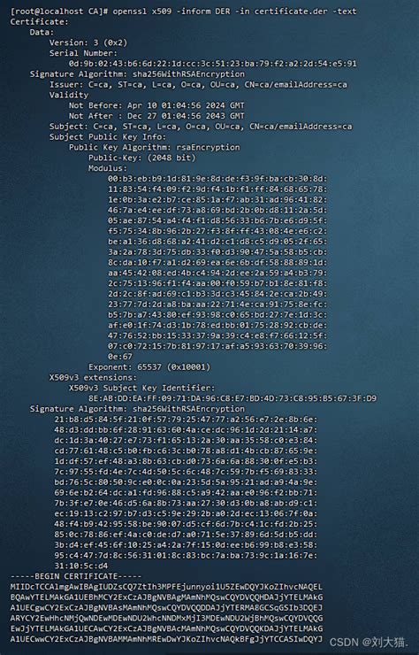 nginx配置证书和私钥进行ssl通信验证 阿里云开发者社区