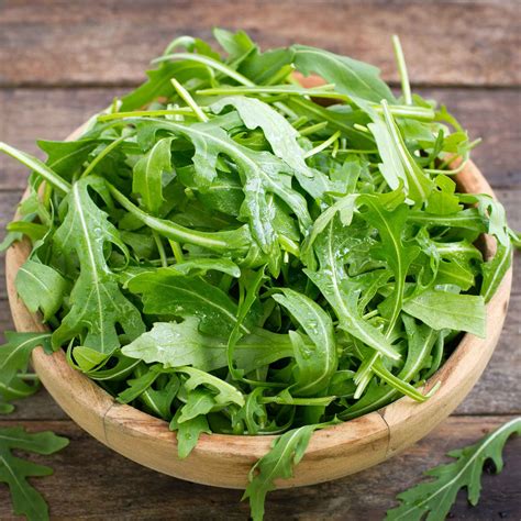 Organic Arugula Seeds Wild Vegetable Seeds In Packets And Bulk Eden