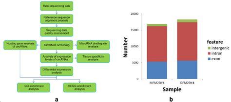 Swine Follicle CircRNA Identification And Structural Analysis A Download Scientific Diagram