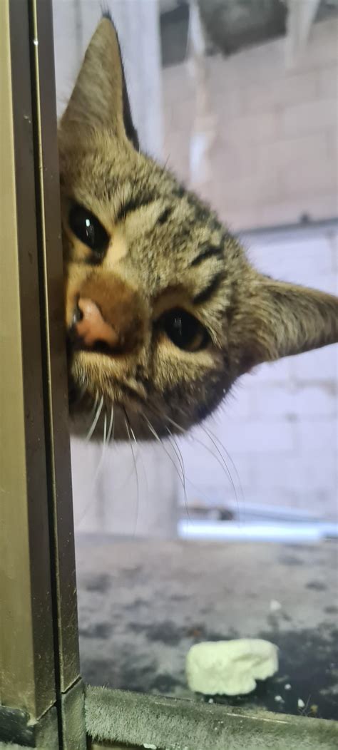 Peekaboo R Pics