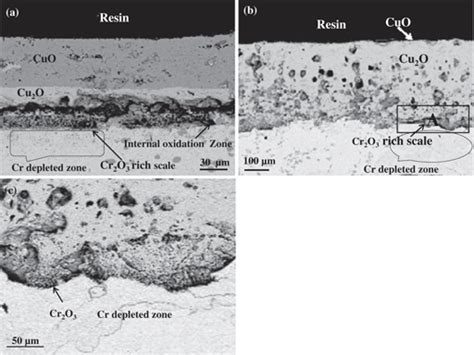 Cross Sectional Micrograph Sem Bei Of Gr Cu 7 0 Cr Alloys Oxidized In