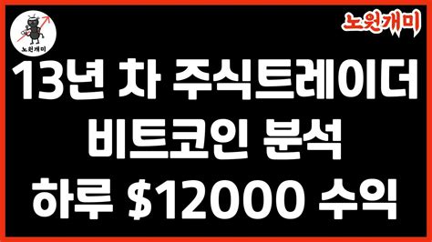 일당 1500만원 13년 차 주식 트레이더의 비트코인 차트 분석매매일지 커뮤니티 비트코인 나스닥 엔비디아 Youtube