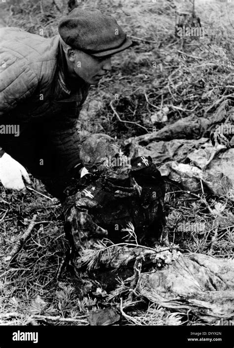 Opfer Katyn Massaker Fotos Und Bildmaterial In Hoher Auflösung Alamy