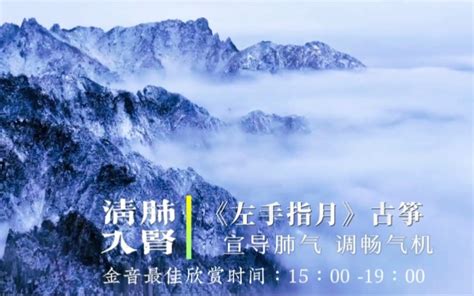 『五音疗疾』宣肺气养肾气，调畅气机，宁心净脑，缓解疲劳，心神不宁，烦躁不宁，憋闷不舒可多听用《左手指月》 音疗师姜书隐 音疗师姜书隐 哔哩哔哩视频