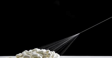 jugal kishore sahoo ph d on linkedin medical uses for silk