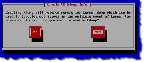 Oracle Vm 346 Part 1 Ovm Server Ron Ekins Oracle Technology Devops And Kubernetes Blog