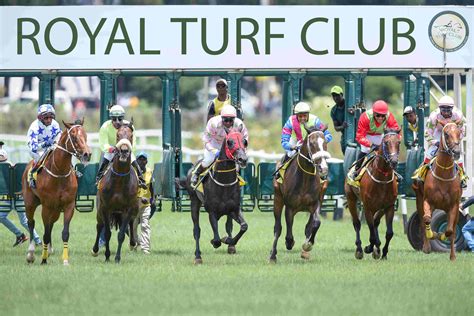 Royal Turf Club Nuwara Eliya Sports Tourism Race Day 2024 Newswire