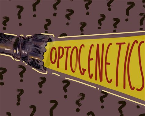 Optogenetics And Its Applications In Modern Biomedicine