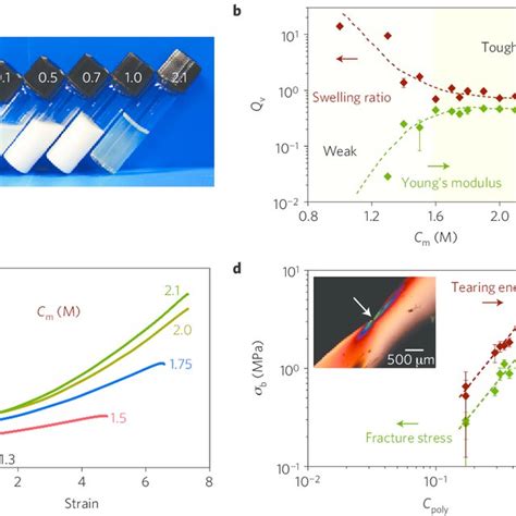 Schematics Of Physical Hydrogels Composed Of Polyampholytes A An Download Scientific