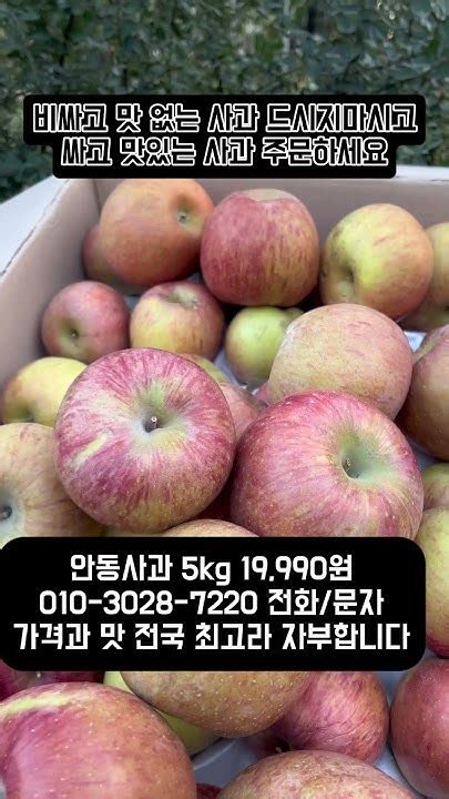 사과 좋아하는분들은 이게 중요하다는것은 아실겁니다 Youtube