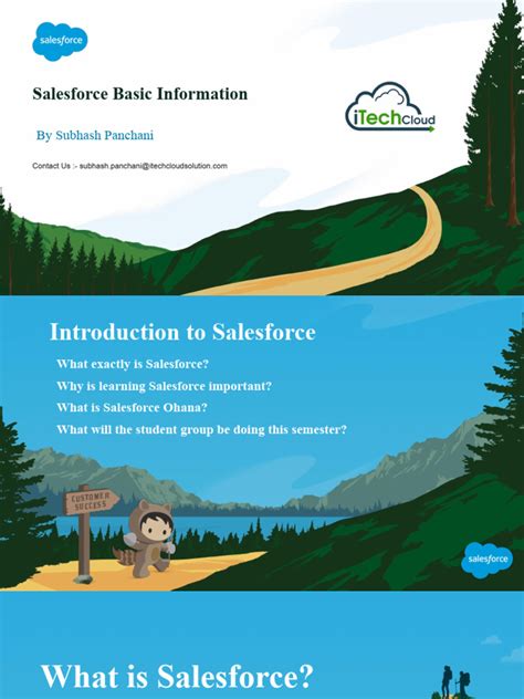 salesforce introduction pdf marketing business economics