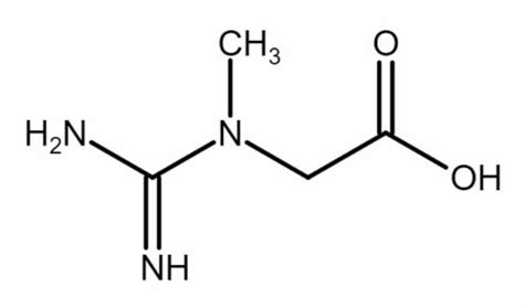 Unlock Your Ultimate Strength The Power Of Creatine Monohydrate For Maximum Performance MILLECOR