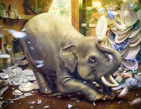 Create Meme The Elephant Is Cute About Elephants Elephant Pictures Meme