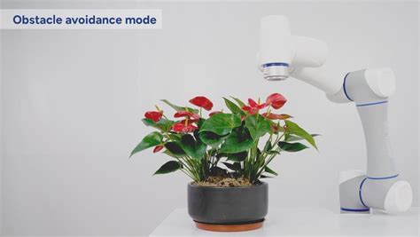 Dobot Cr Series Review Safe And Easy Collaboration With New Robotic Arms Top 3d Shop