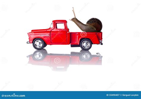 Snail On A Car Stock Image Image Of Singing Wildlife 33490407