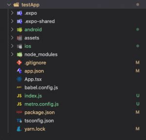 How To Eject From Expo Managed Workflow To Bare Pagepro