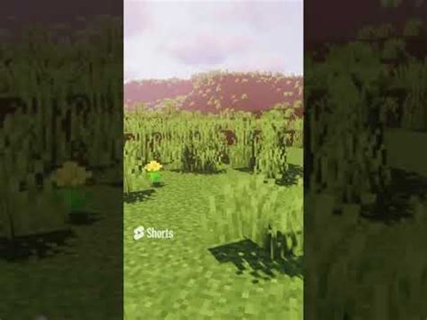 3 Usefull Shortcut Keys For Minecraft Java Shorts YouTube