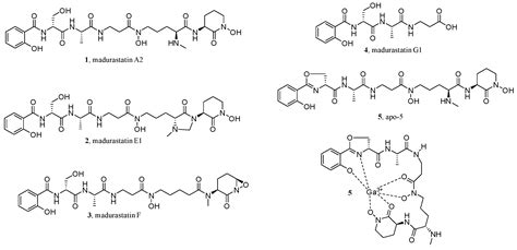 Msms Based Molecular Networking Encyclopedia Mdpi