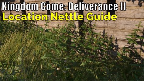 Kingdom Come Deliverance 2 Location Nettle Guide Youtube
