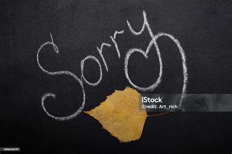 흰색 분필 글자와 칠판에 당나귀 잎 죄송합니다 마음에서 용서를 구하는 사과의 개념 10월에 대한 스톡 사진 및 기타 이미지 10월 가을 감정 Istock