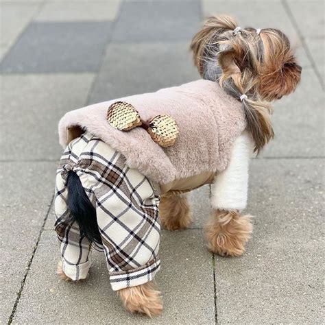 Одежда для собак