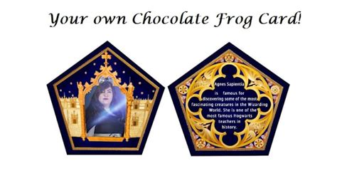 Make You A Personalized Harry Potter Chocolate Frog Card By Inecarrillo