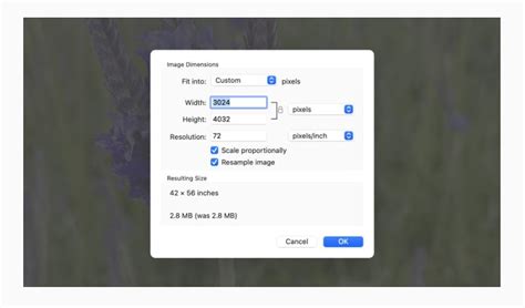 Swiftui Macos教程之sheets组件经典教程 灰信网（软件开发博客聚合）