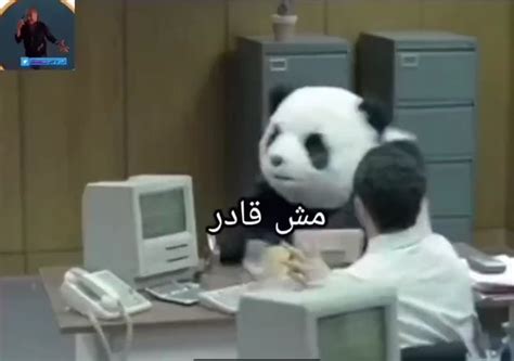 Mostafa Sayed On Linkedin 😂 😂