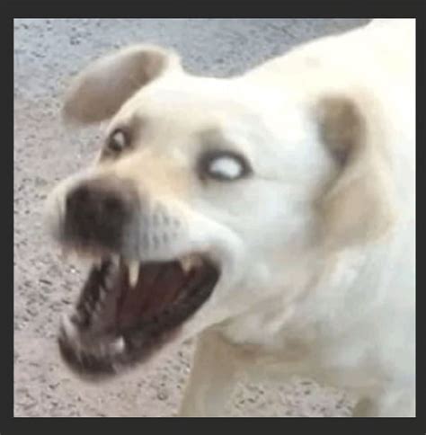 Glow In The Dark Lassogame Shooter String Toyglow In The Dark Loop