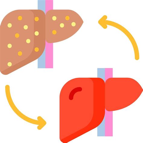 Liver And Liver Function 51545570 Vector Art At Vecteezy