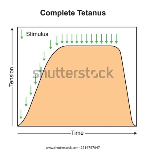 Scientific Designing Complete Tetanus Colorful Symbols Stock Vector Royalty Free 2214757847