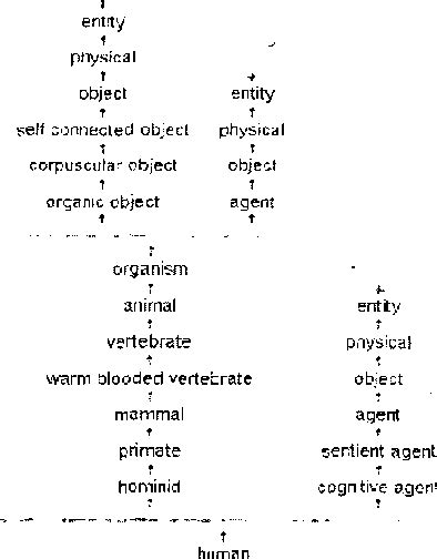 Figure 4 From Design Of Lexical Database For Financial Domain Semantic Scholar