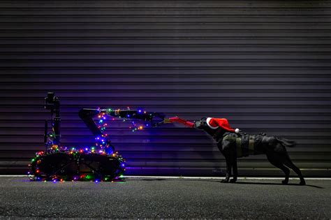 Smart Pup Katie Smart Pup Katie Added A New Photo