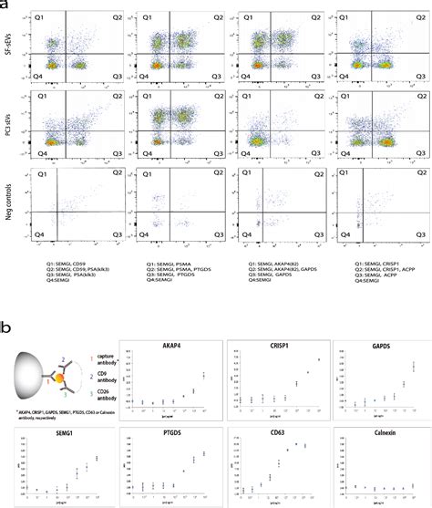 Figure 5 From Surface Protein Pro ﬁ Ling Of Prostate Derived