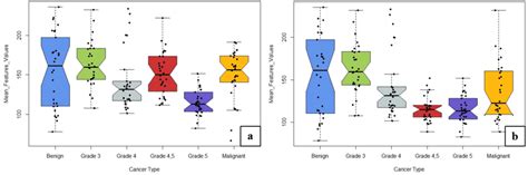Comparison Between The Two Levels Of Classification Using Wavelet