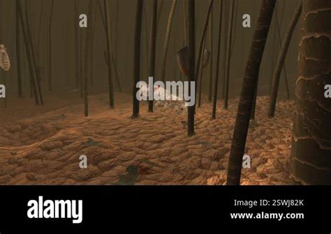 A 3d Animation Of Head Lice Showing Their Body Structure Movement