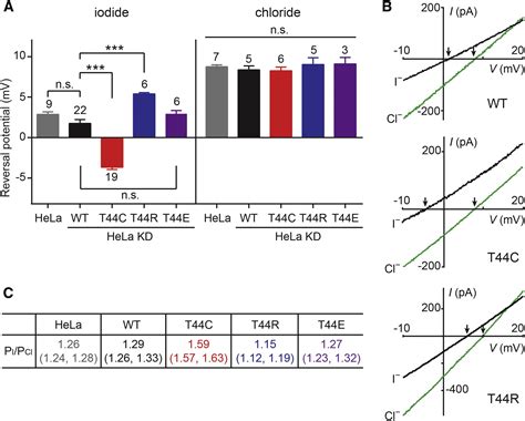 Swell1 A Plasma Membrane Protein Is An Essential Component Of Volume
