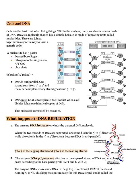 Bio Genetic Variation Level 2 Biology Level 2 Ncea Thinkswap