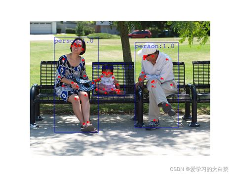 人体关键点检测（keypoints Detection） Csdn博客